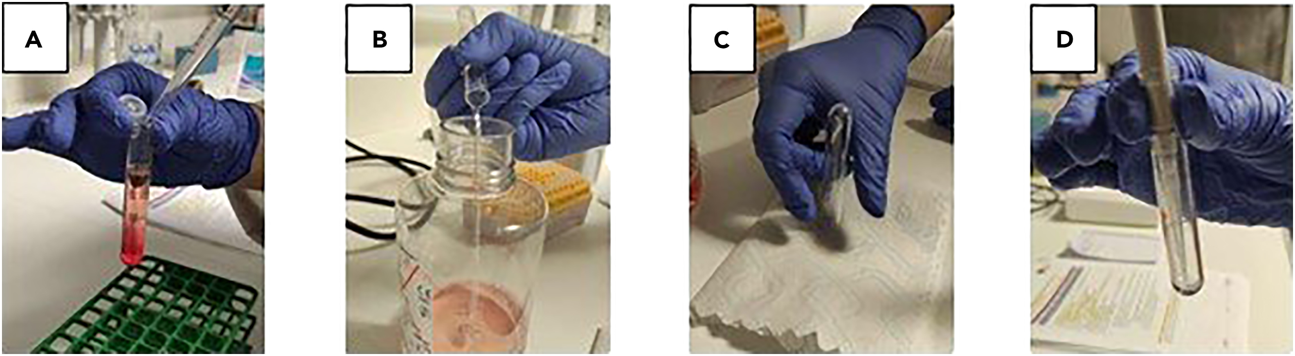 Cell Press: STAR Protocols