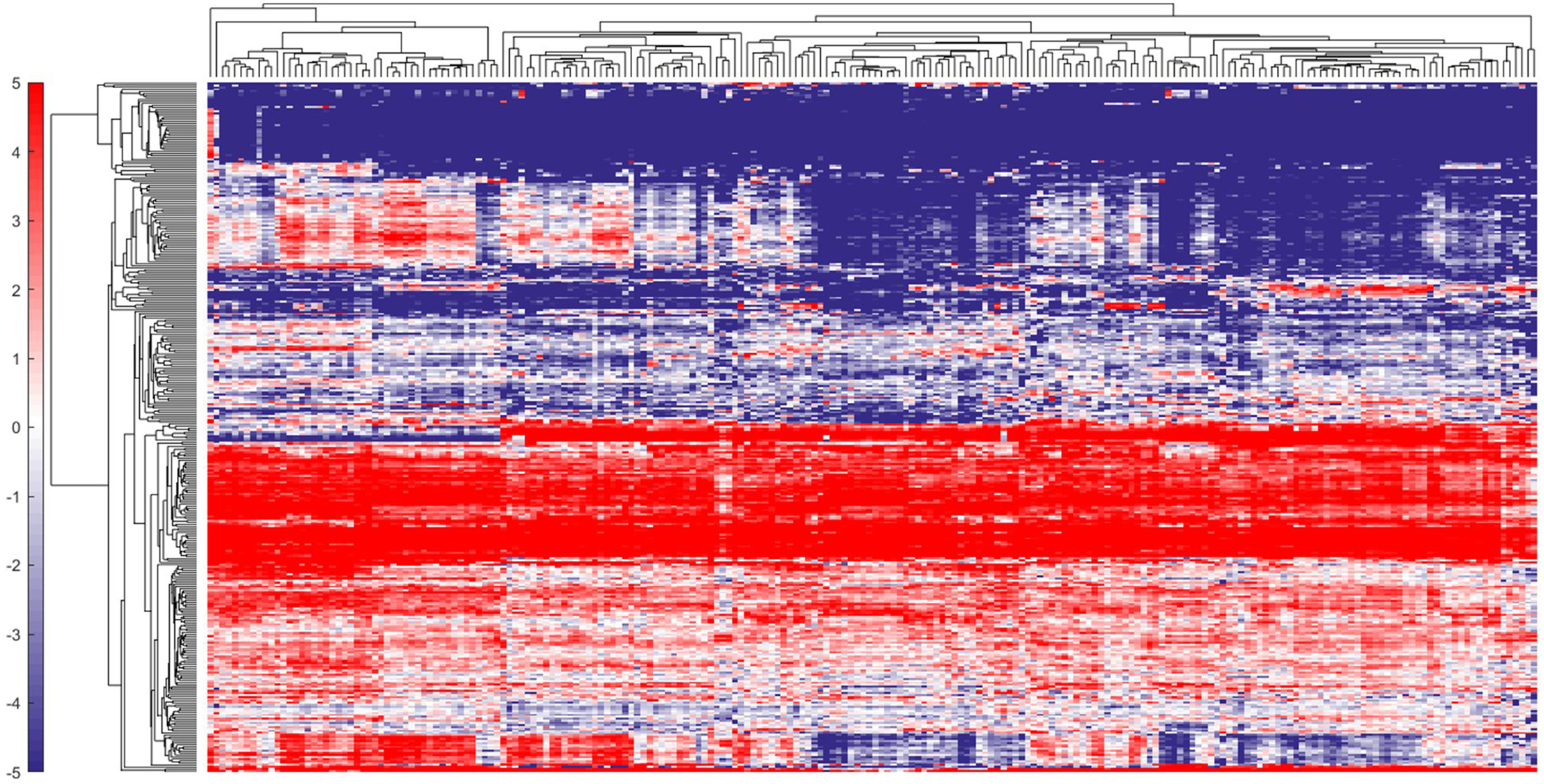 Cell Press: STAR Protocols