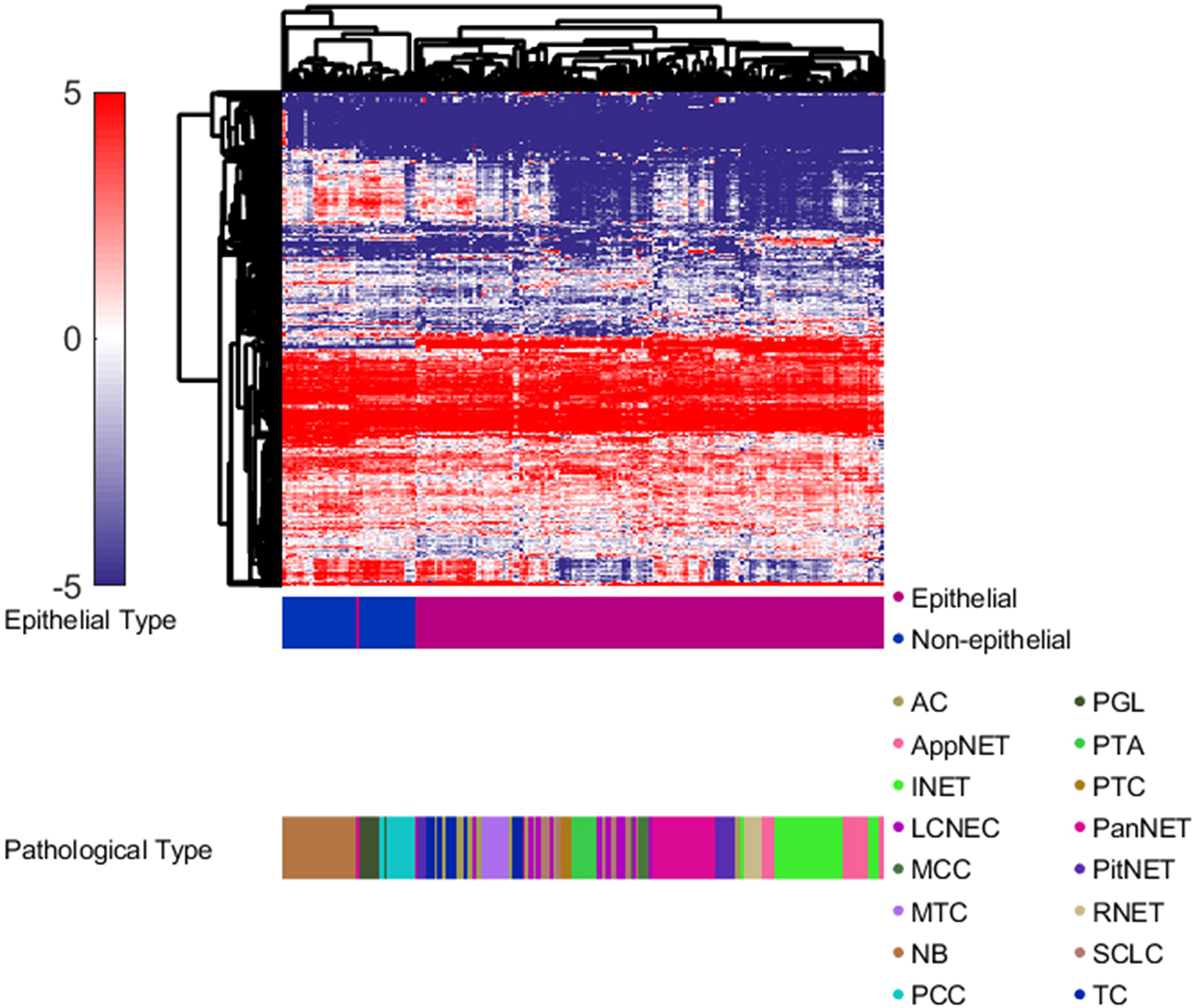 Cell Press: STAR Protocols