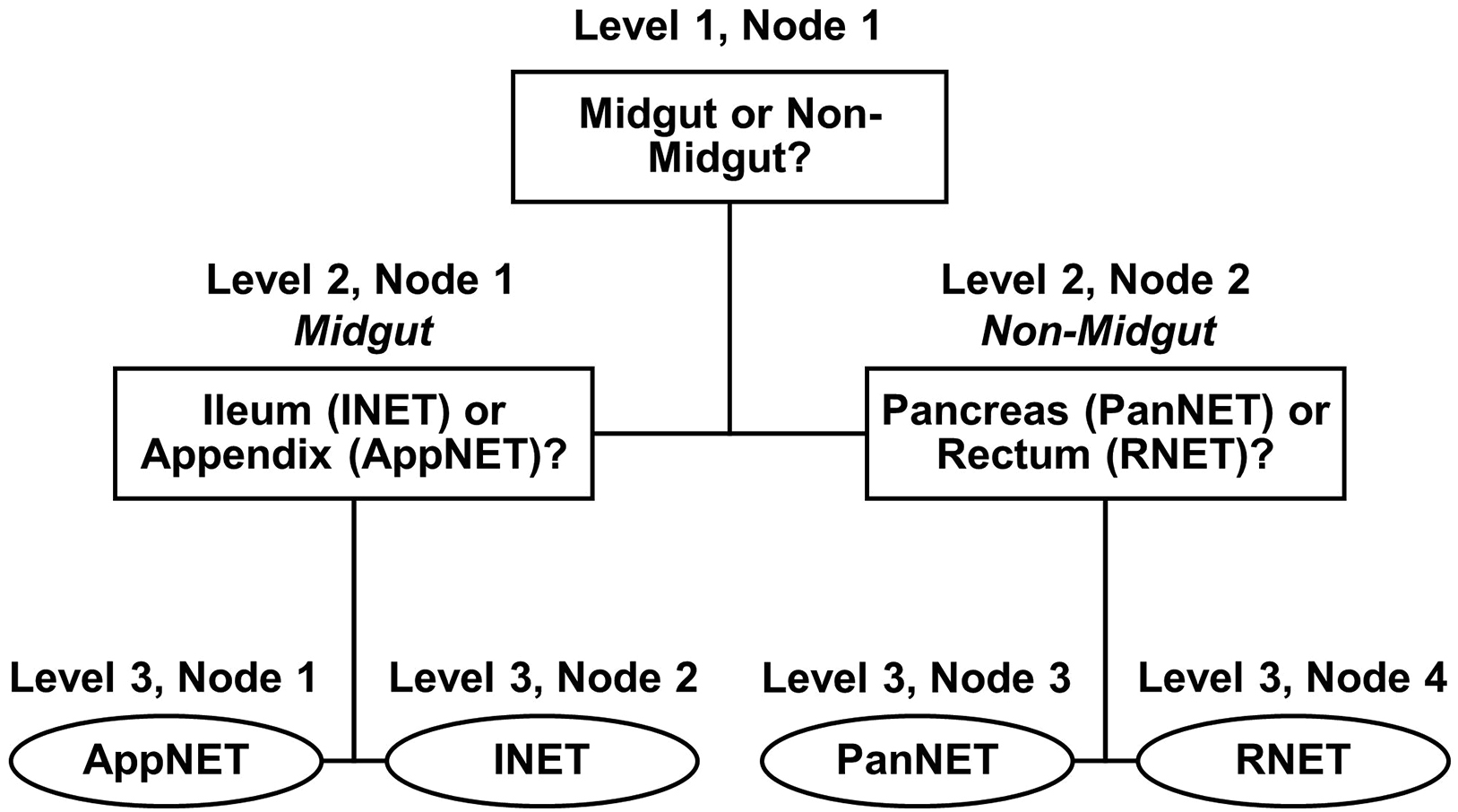 Cell Press: STAR Protocols