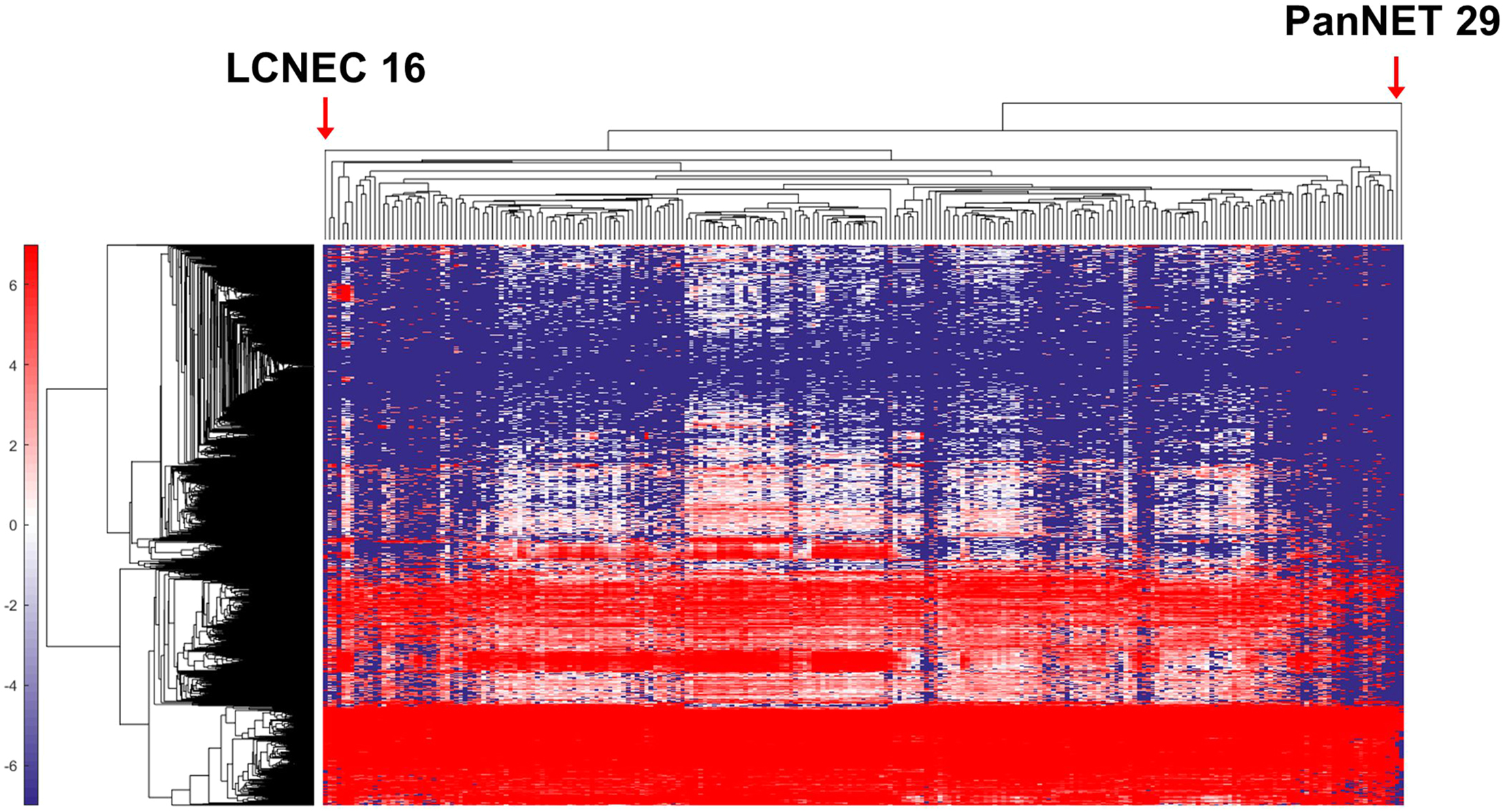 Cell Press: STAR Protocols