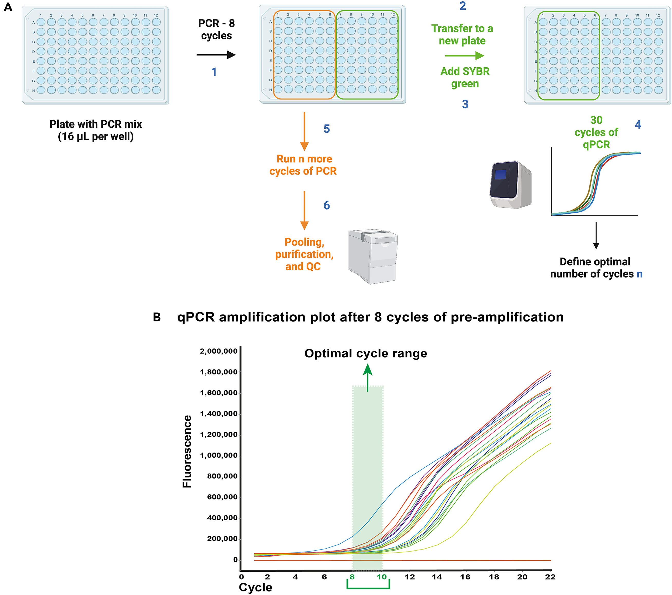 Cell Press: STAR Protocols
