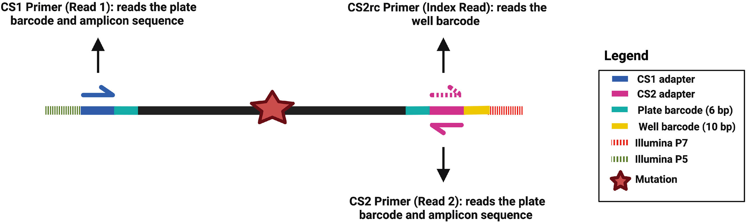 Cell Press: STAR Protocols
