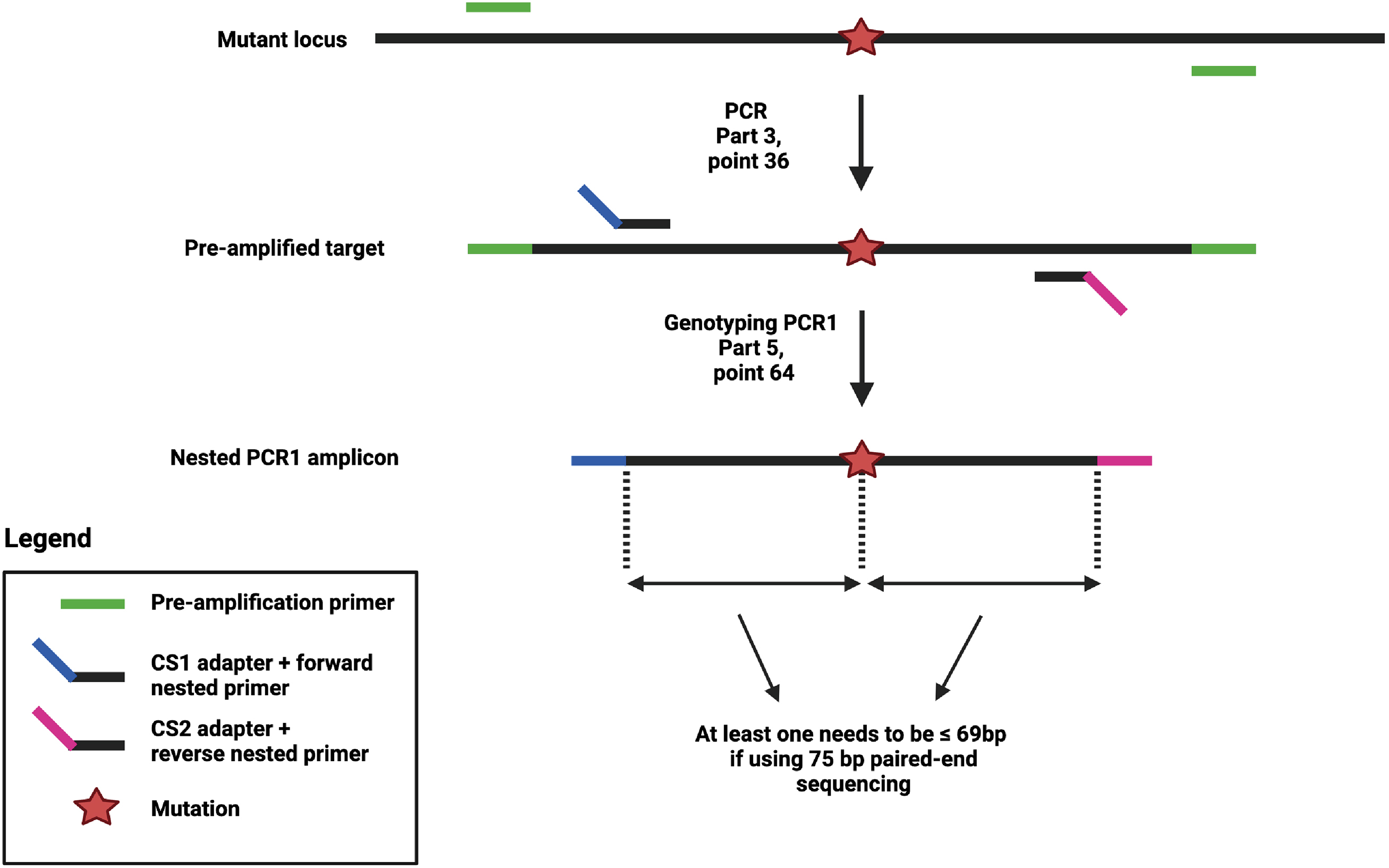 Cell Press: STAR Protocols