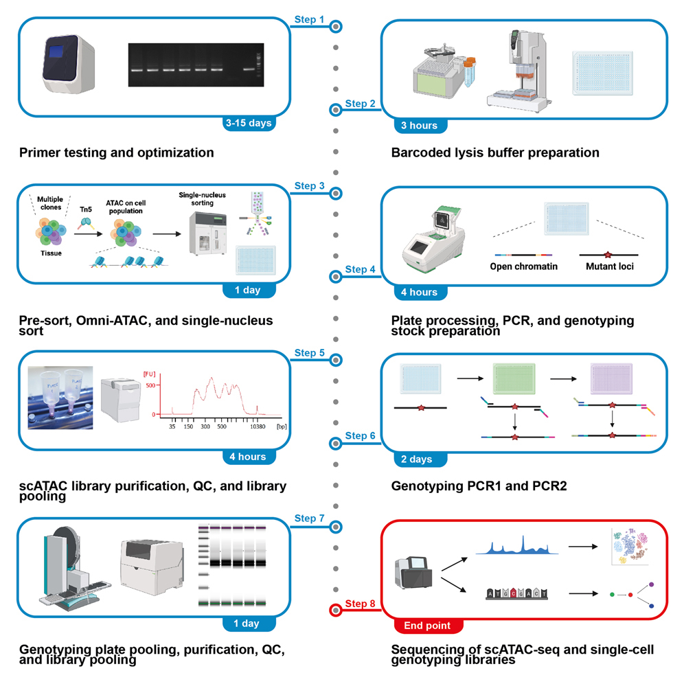 Cell Press: STAR Protocols