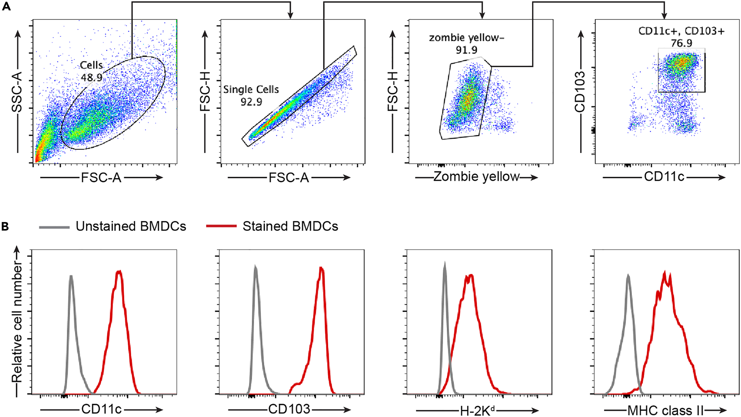 Cell Press: STAR Protocols