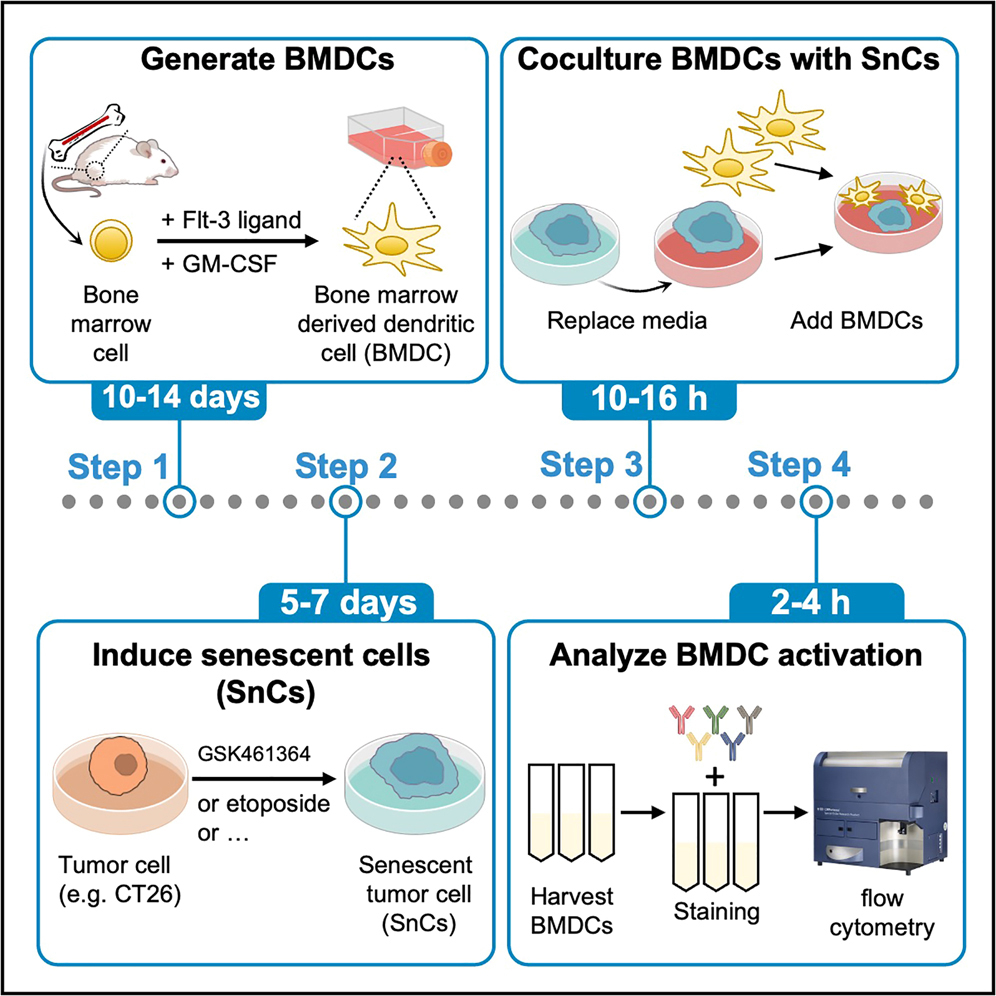 Cell Press: STAR Protocols