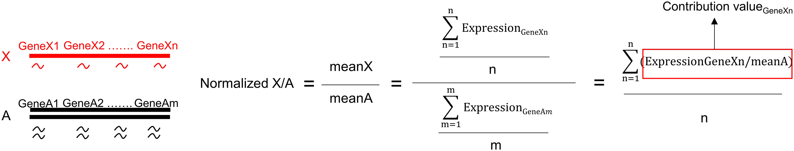 Cell Press: STAR Protocols