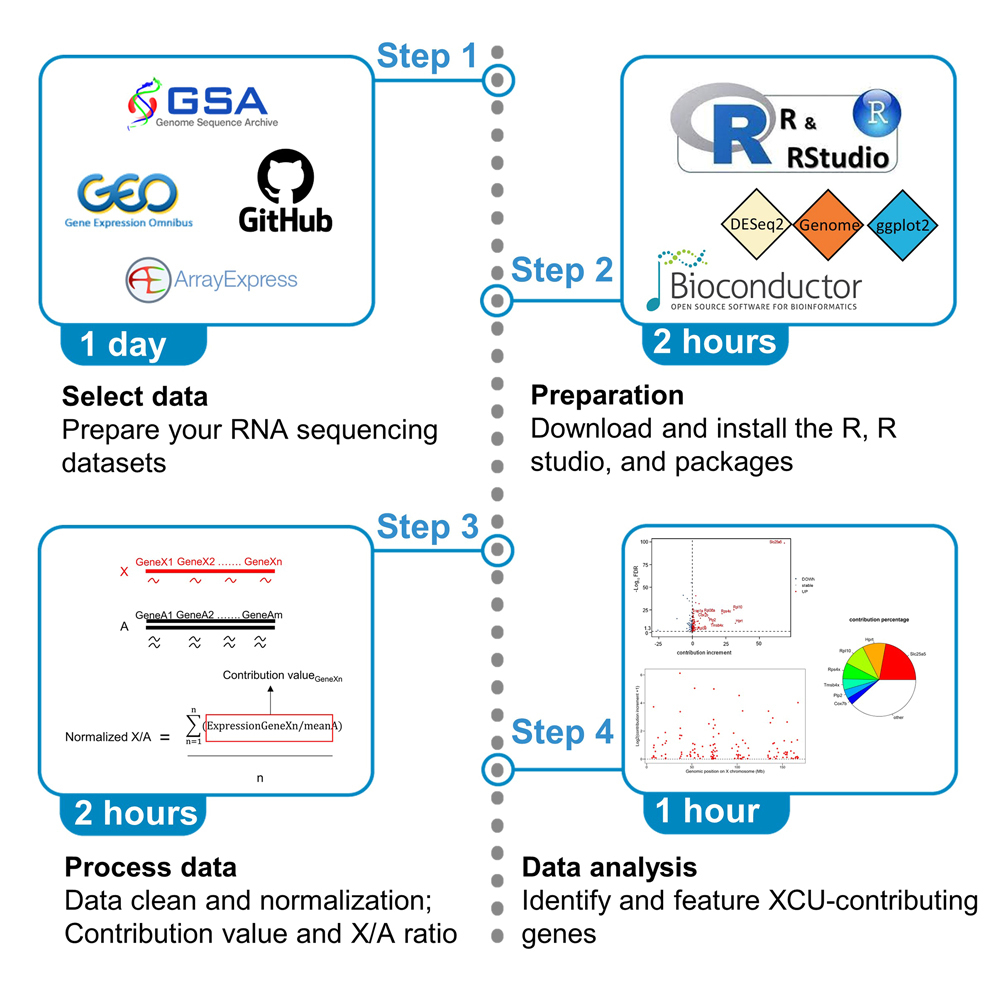 Cell Press: STAR Protocols