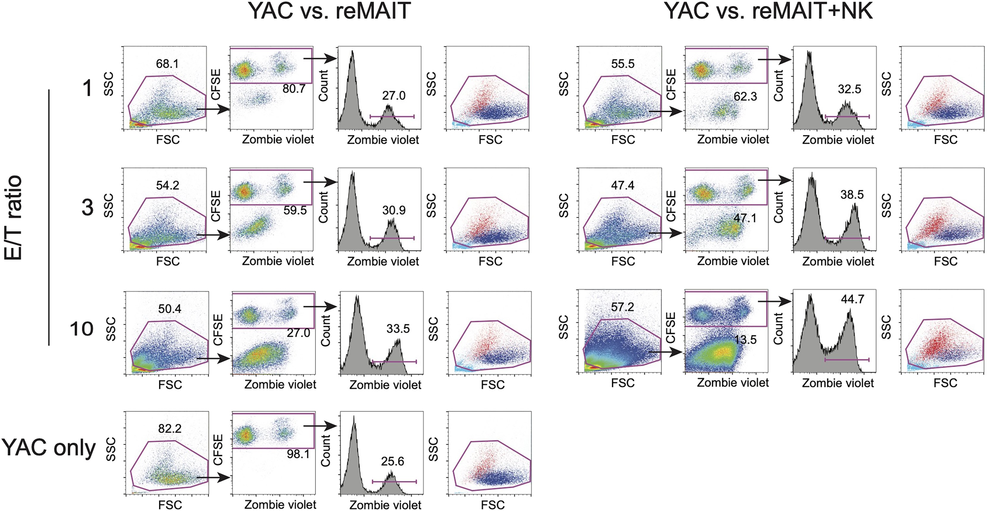 Cell Press: STAR Protocols