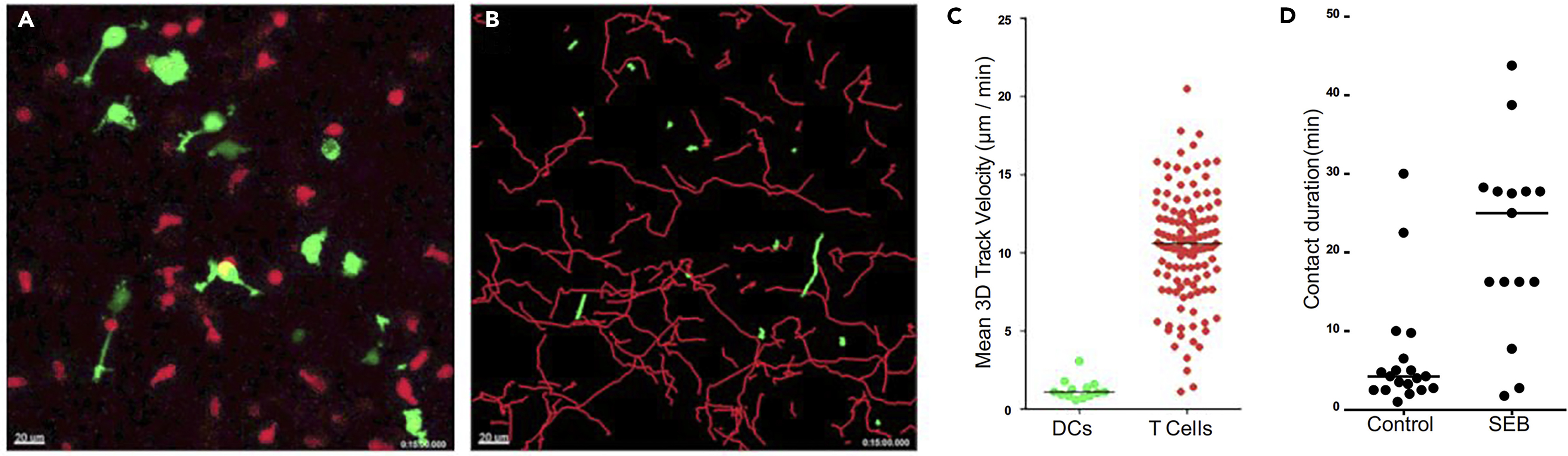 Cell Press: STAR Protocols