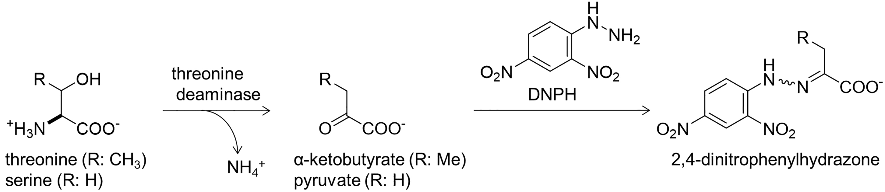 Cell Press: STAR Protocols