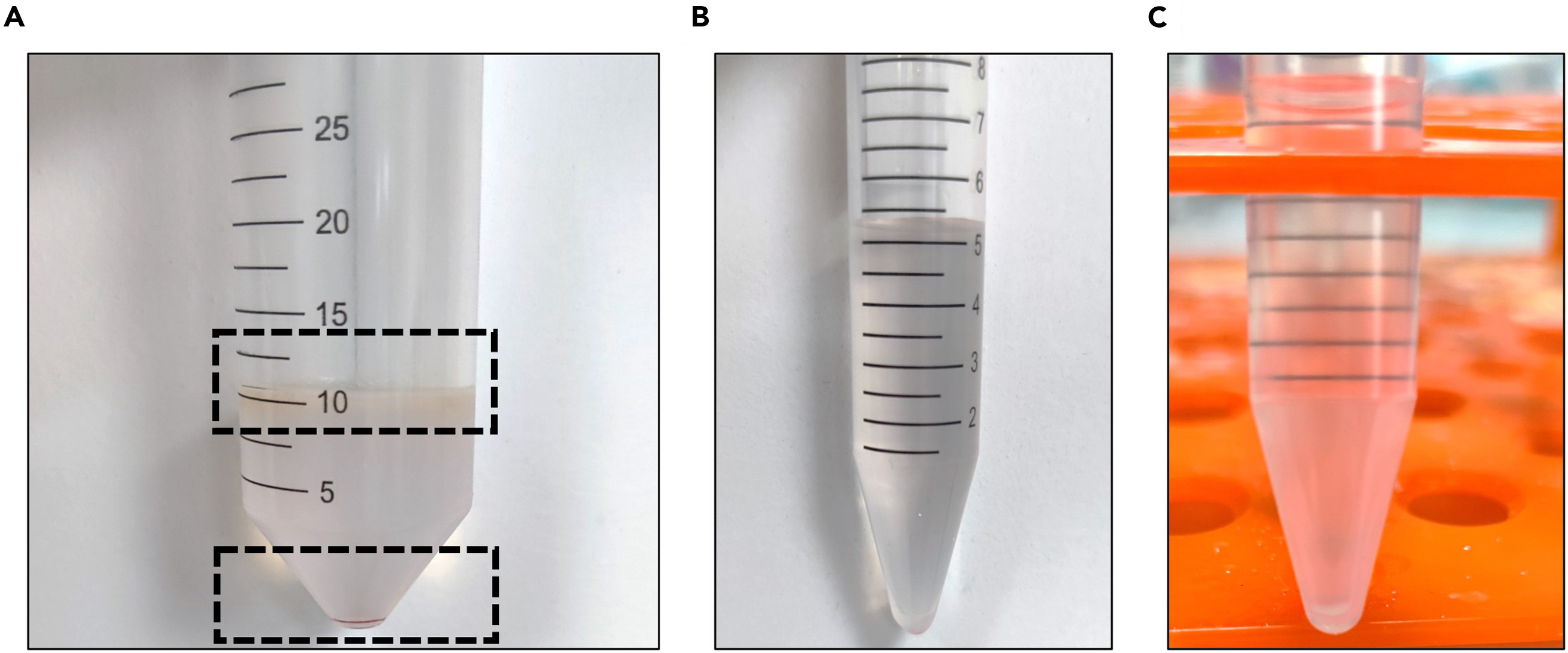 Cell Press: STAR Protocols