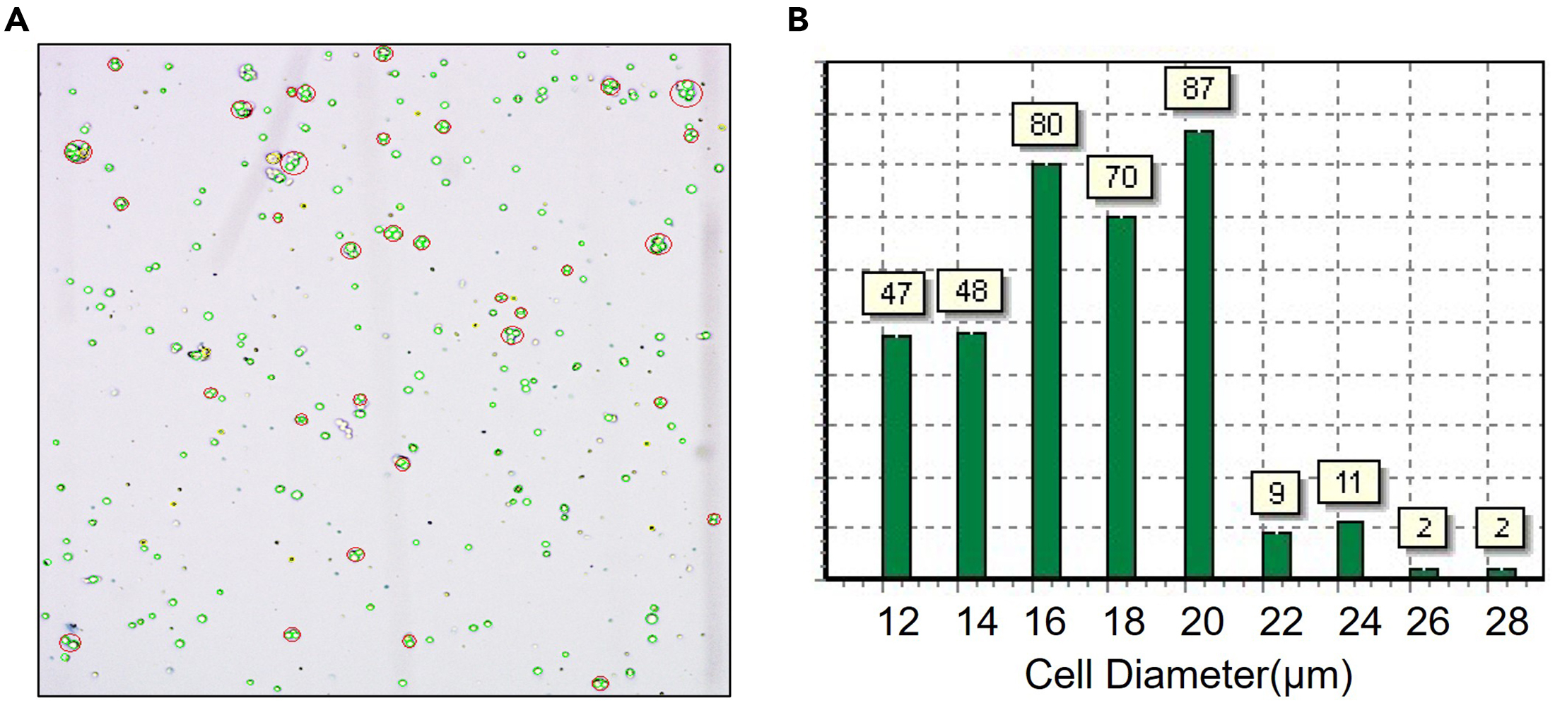 Cell Press: STAR Protocols
