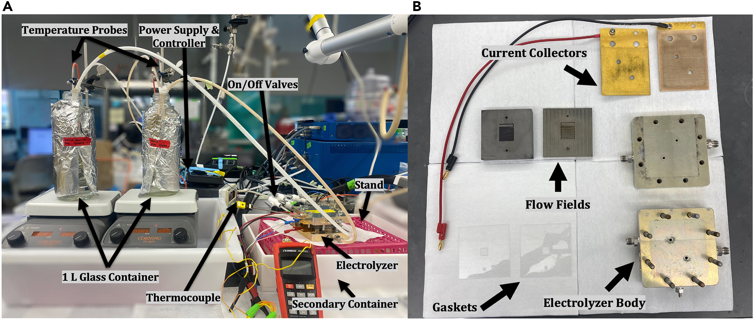 Cell Press: STAR Protocols