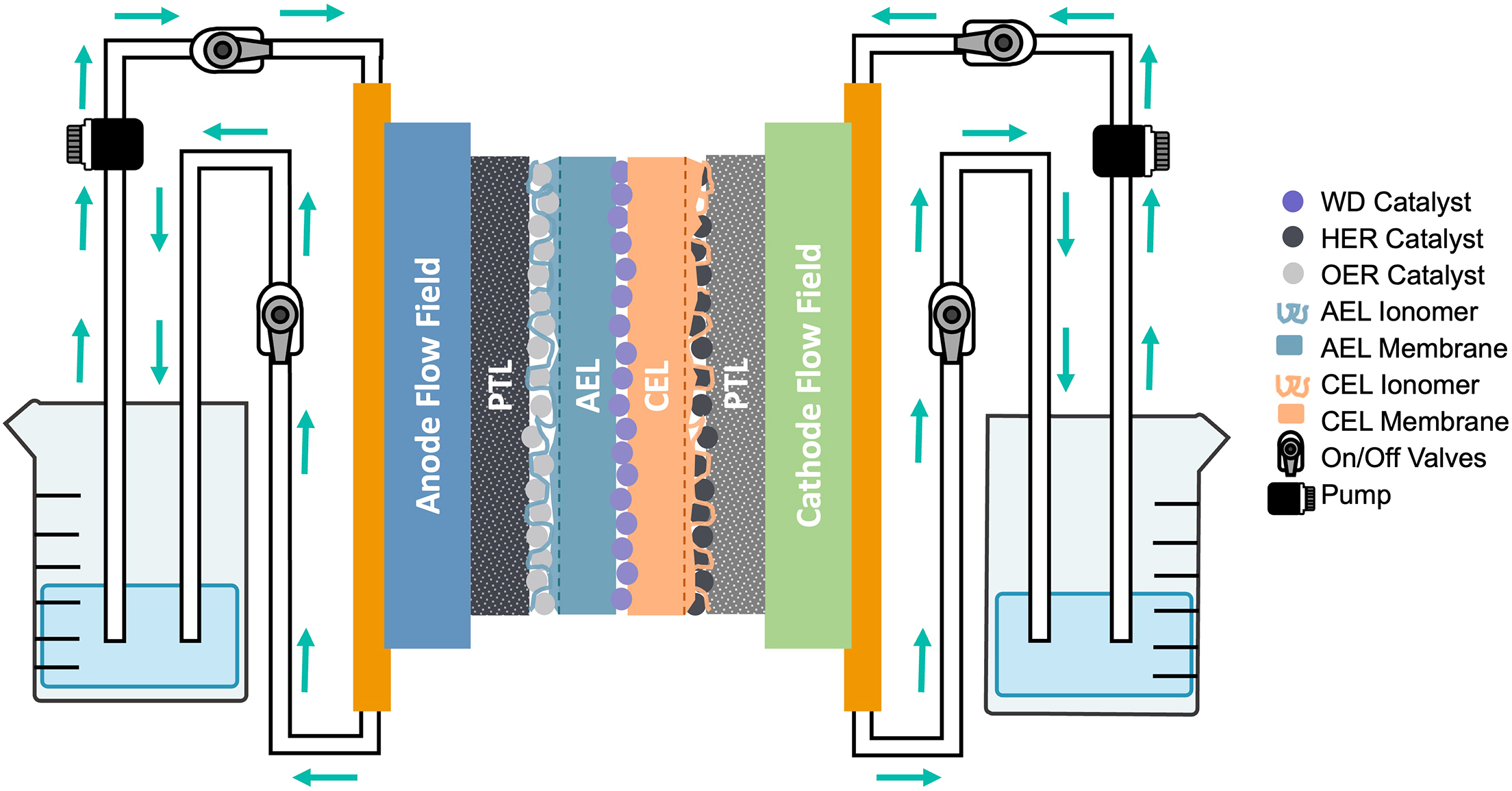 Cell Press: STAR Protocols