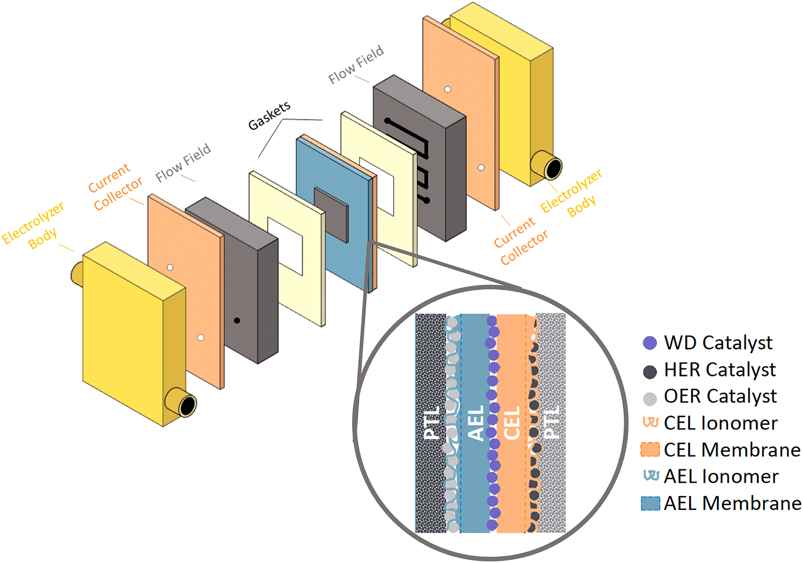 Cell Press: STAR Protocols