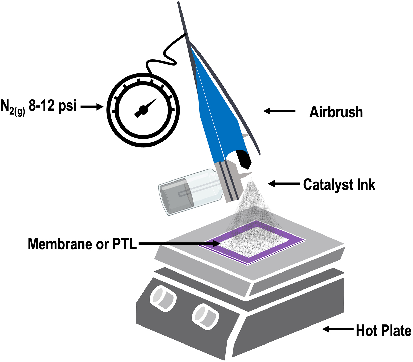 Cell Press: STAR Protocols