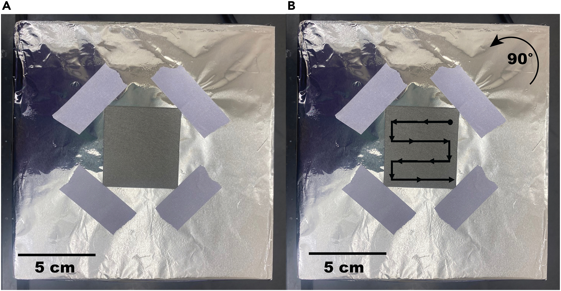 Cell Press: STAR Protocols