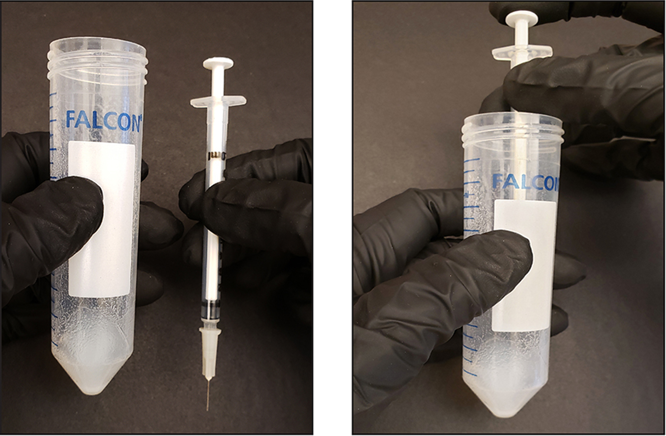 Cell Press: STAR Protocols