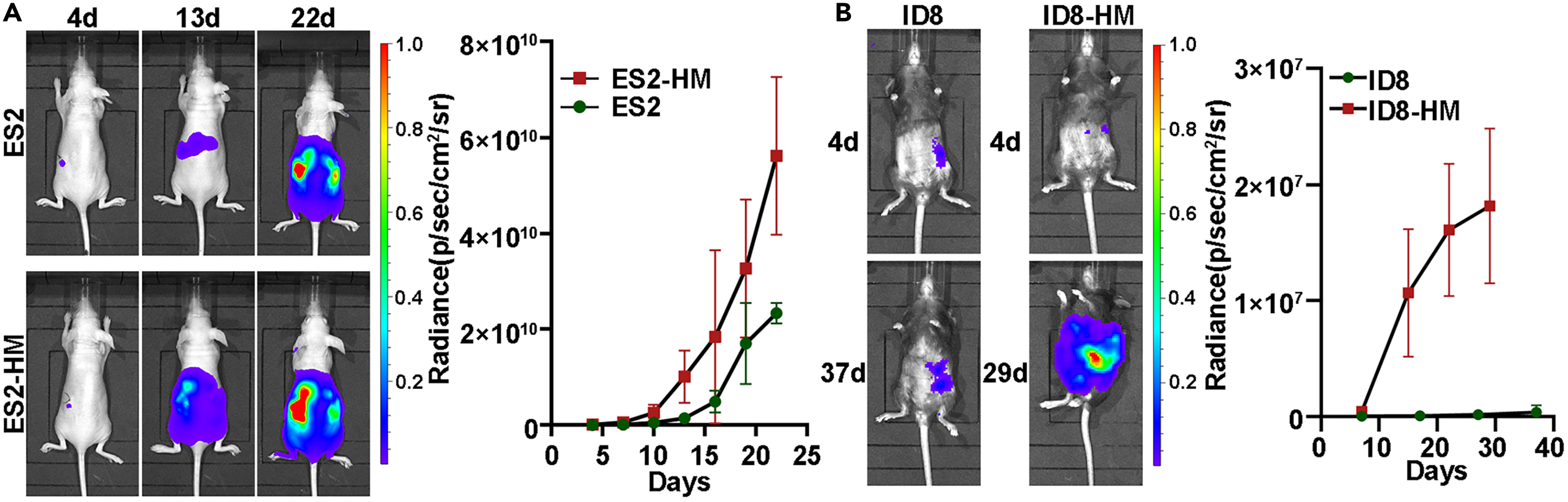 Cell Press: STAR Protocols