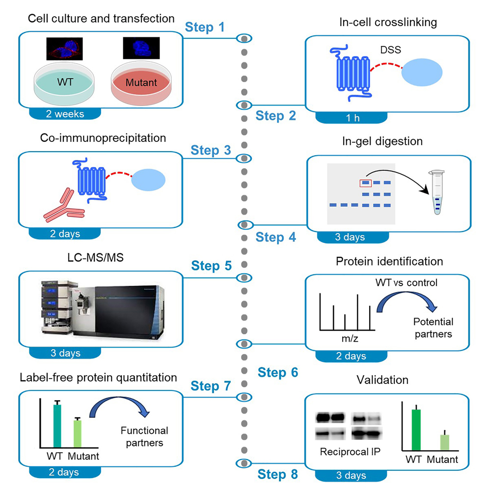 Cell Press: STAR Protocols