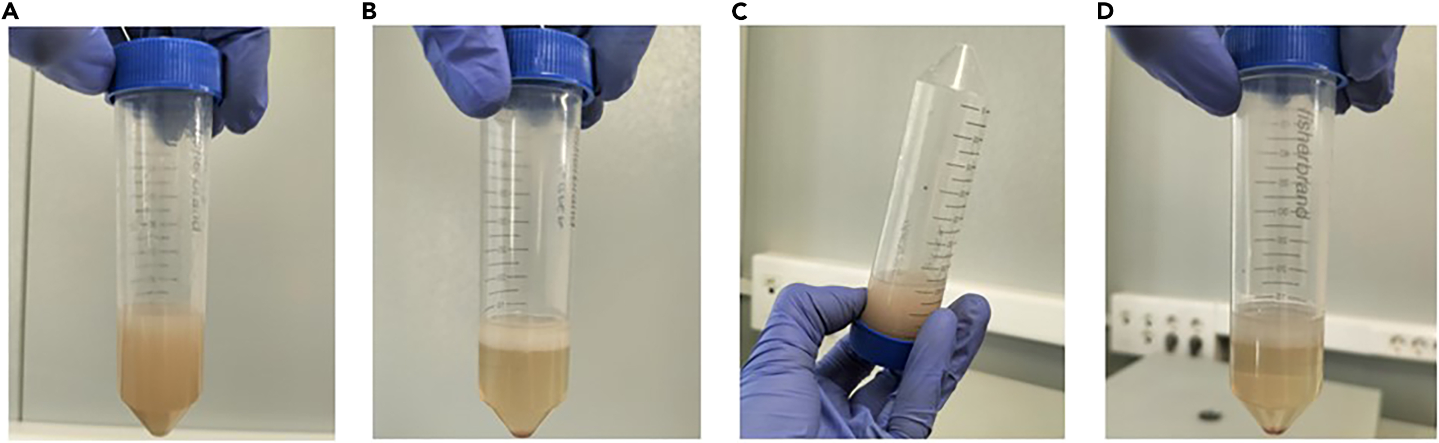 Cell Press: STAR Protocols