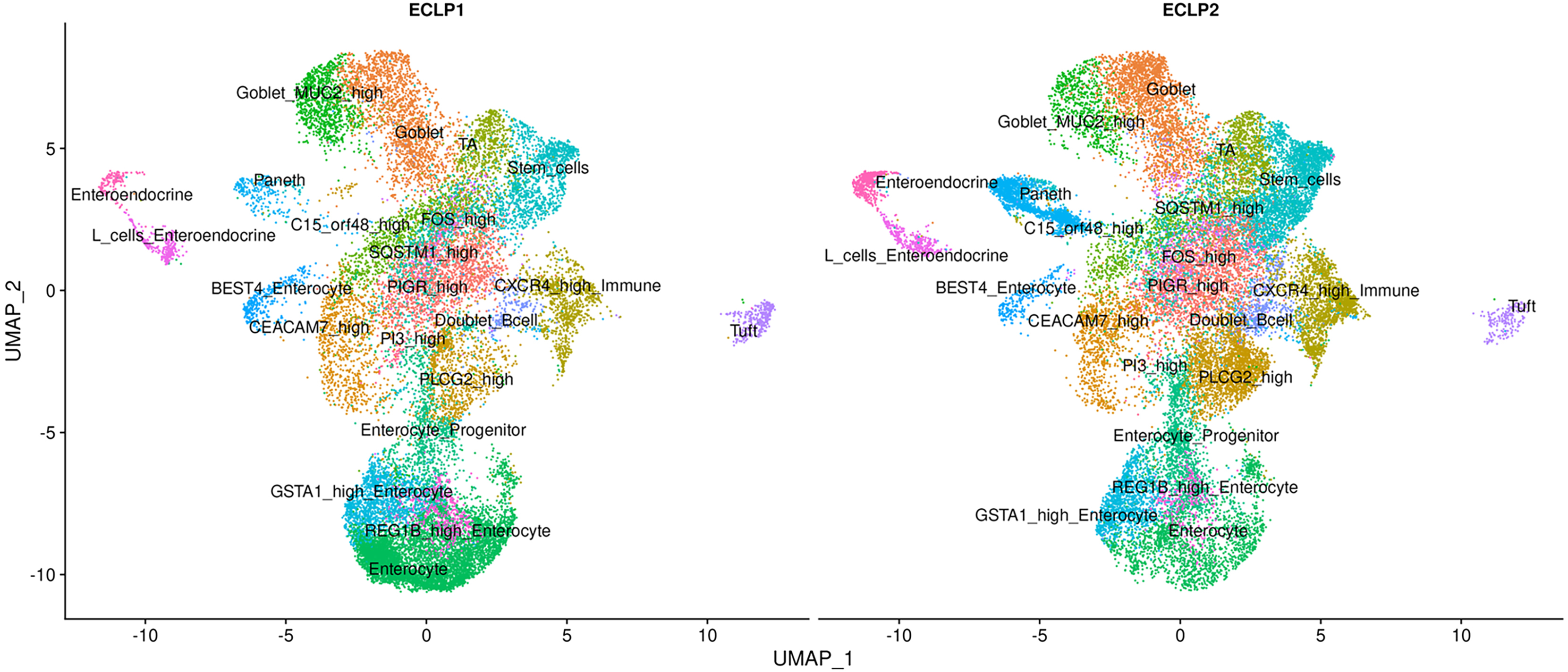 Cell Press: STAR Protocols