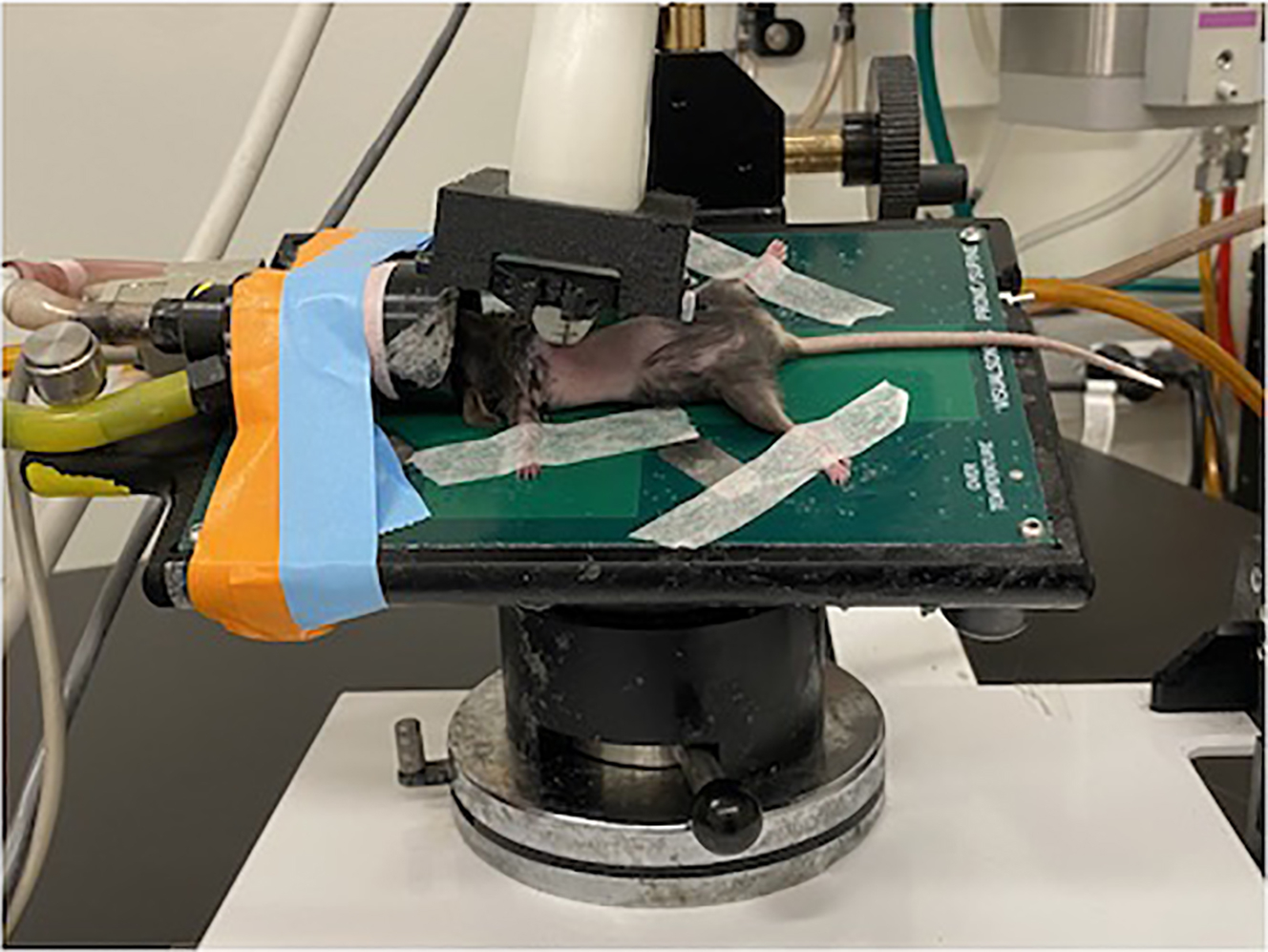 Cell Press: STAR Protocols