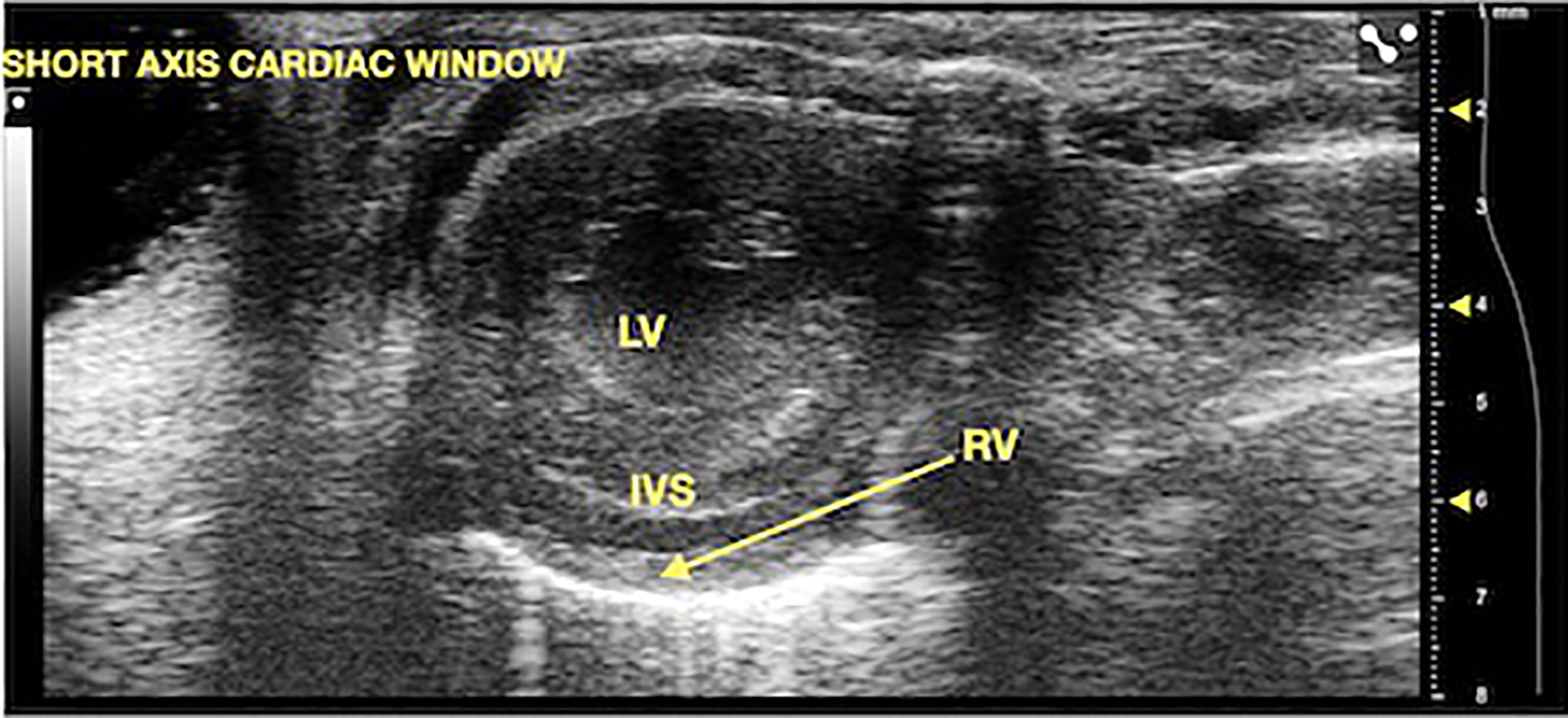Cell Press: STAR Protocols