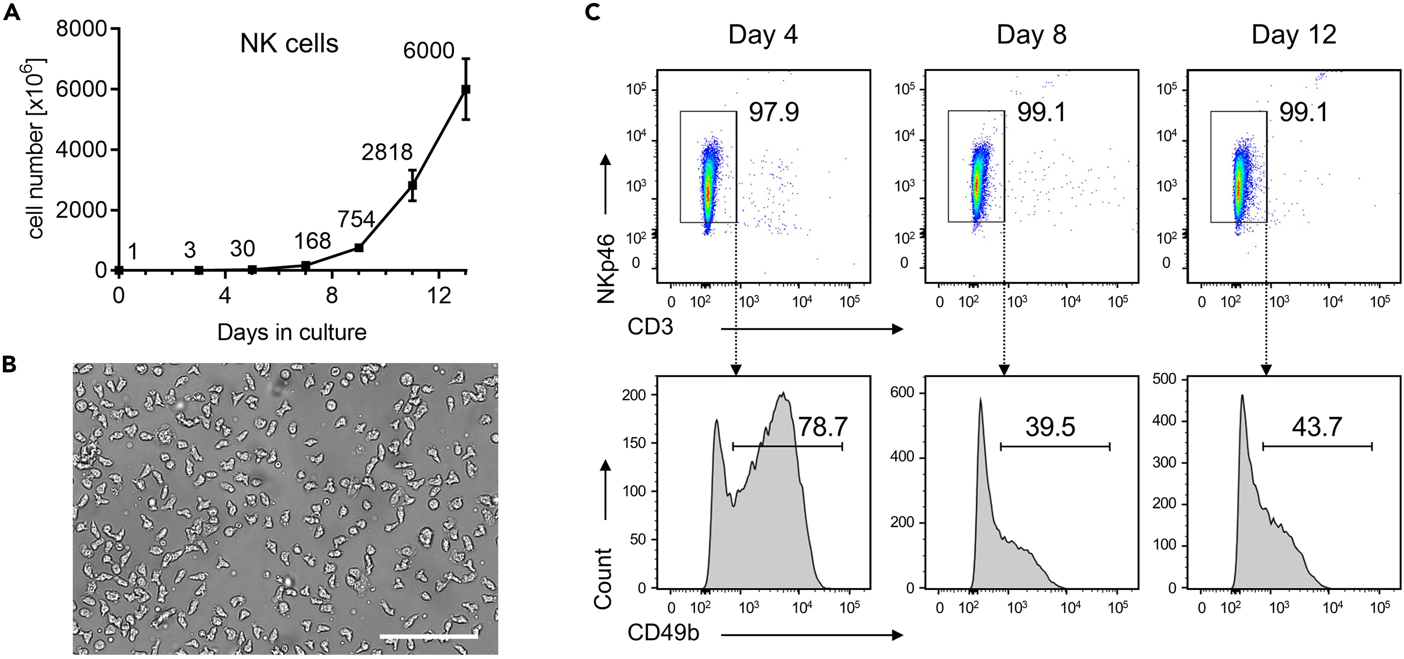 Cell Press: STAR Protocols