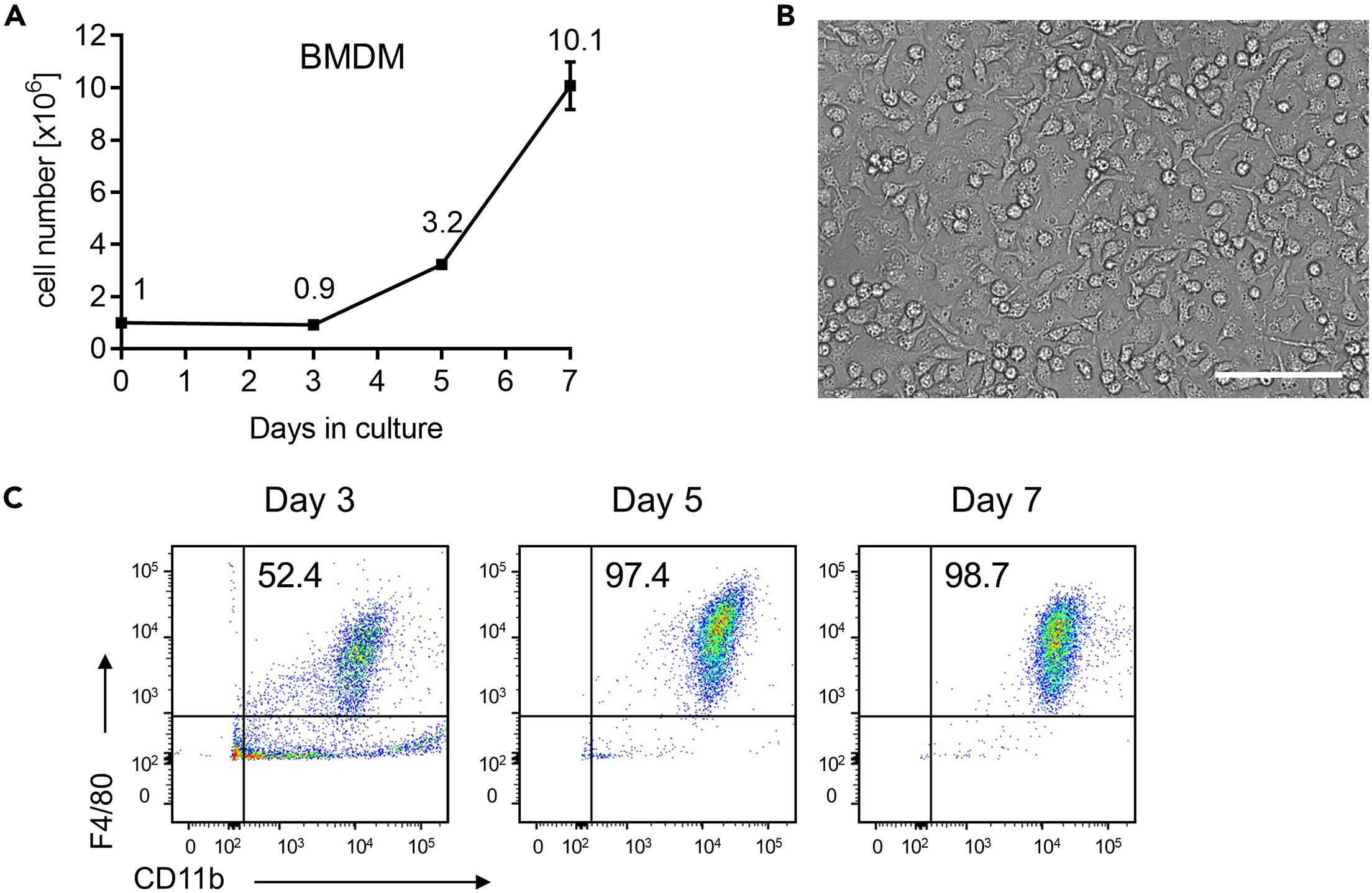 Cell Press: STAR Protocols