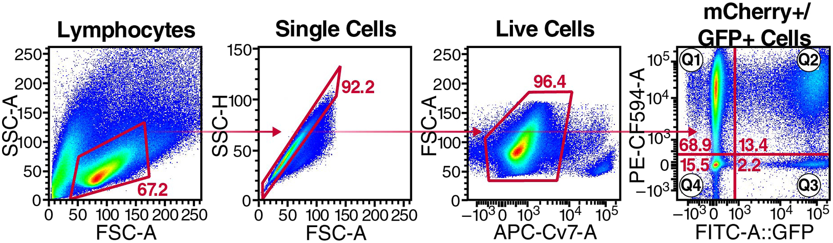 Cell Press: STAR Protocols