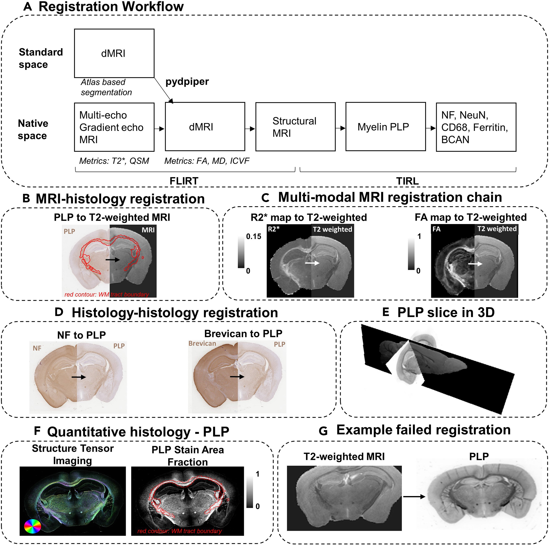 Cell Press: STAR Protocols