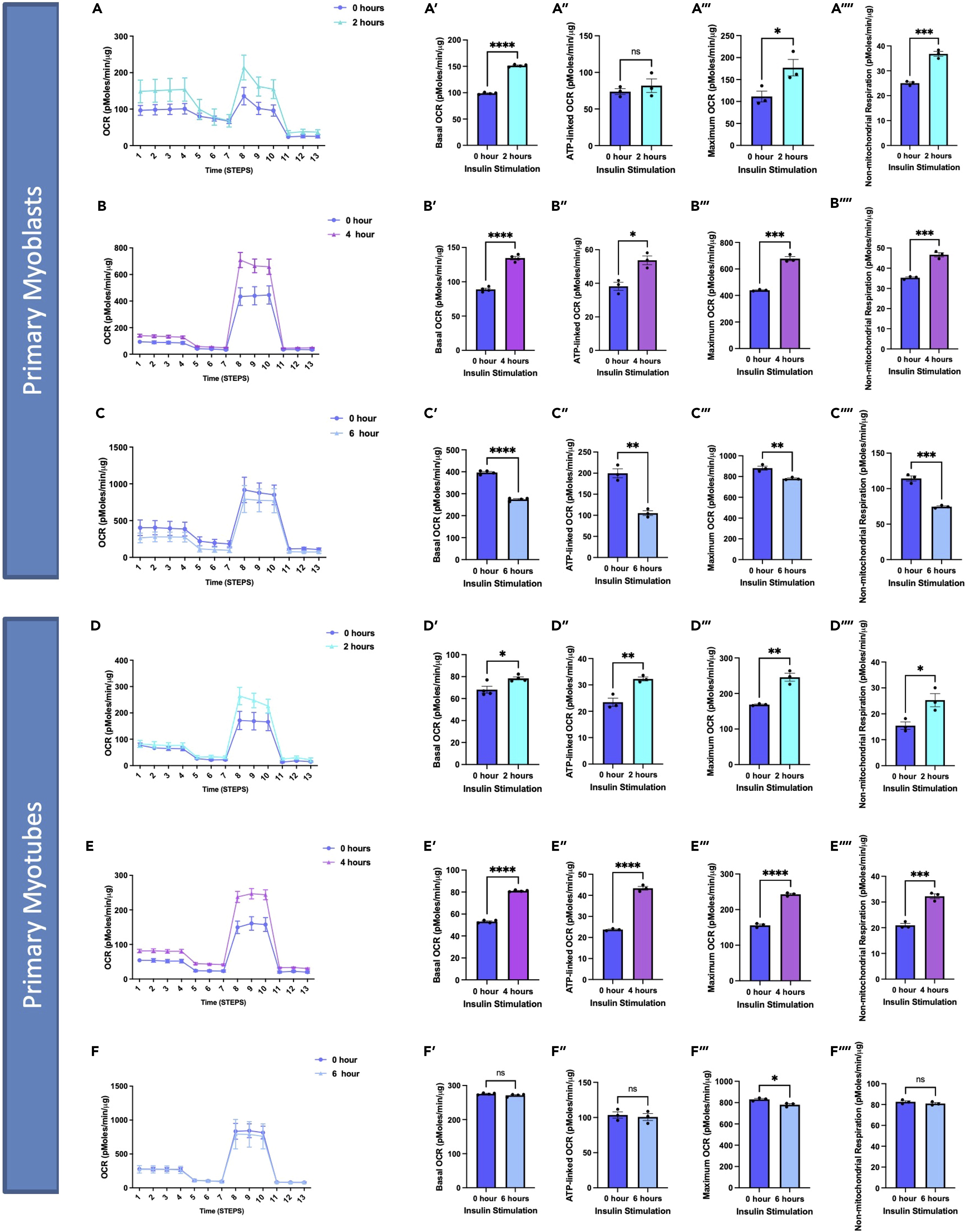 Cell Press: STAR Protocols