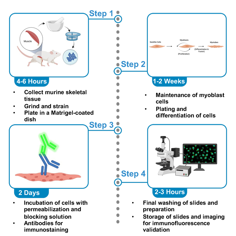 Cell Press: STAR Protocols
