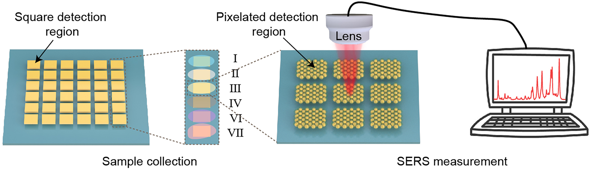 Cell Press: STAR Protocols
