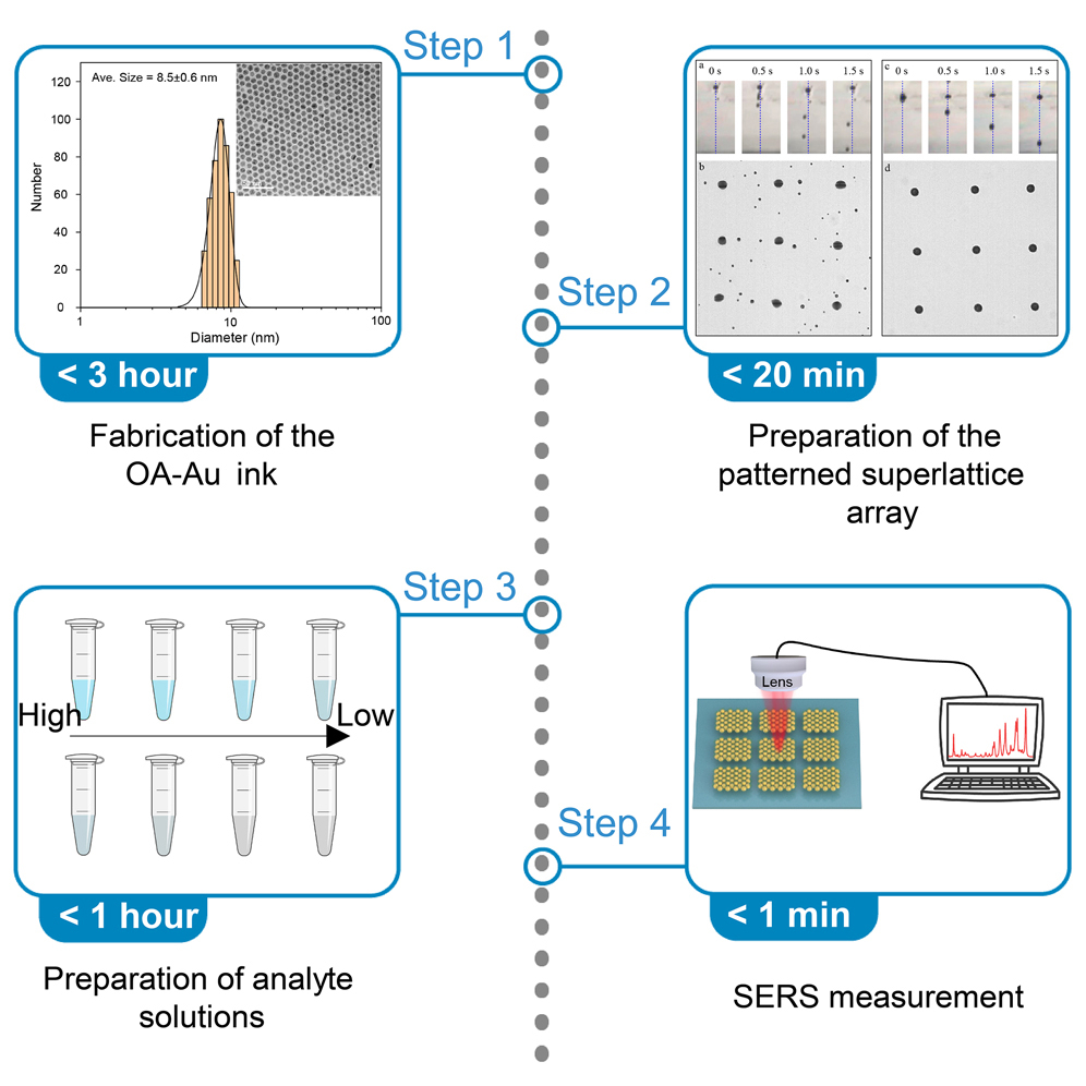 Cell Press: STAR Protocols