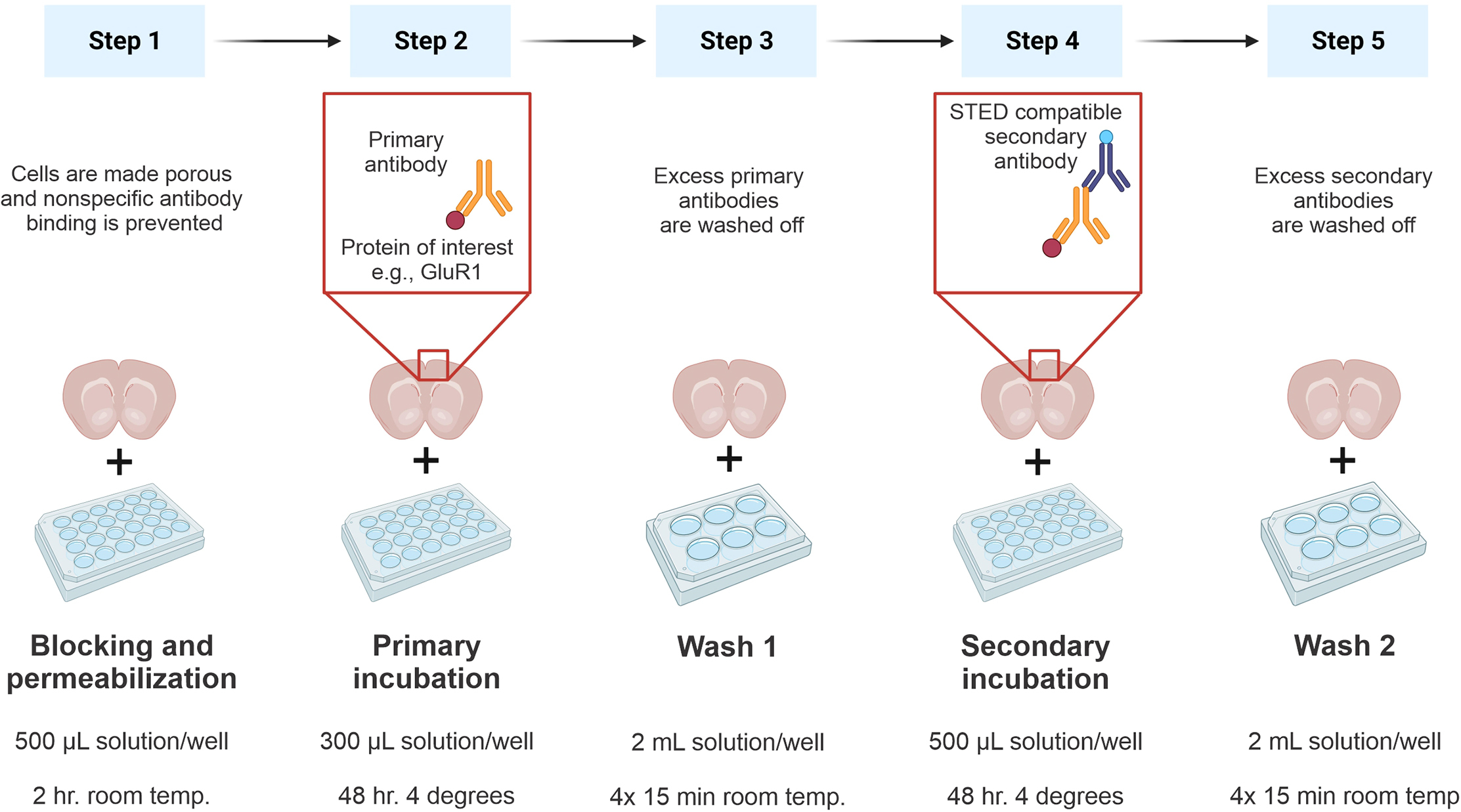 Cell Press: STAR Protocols