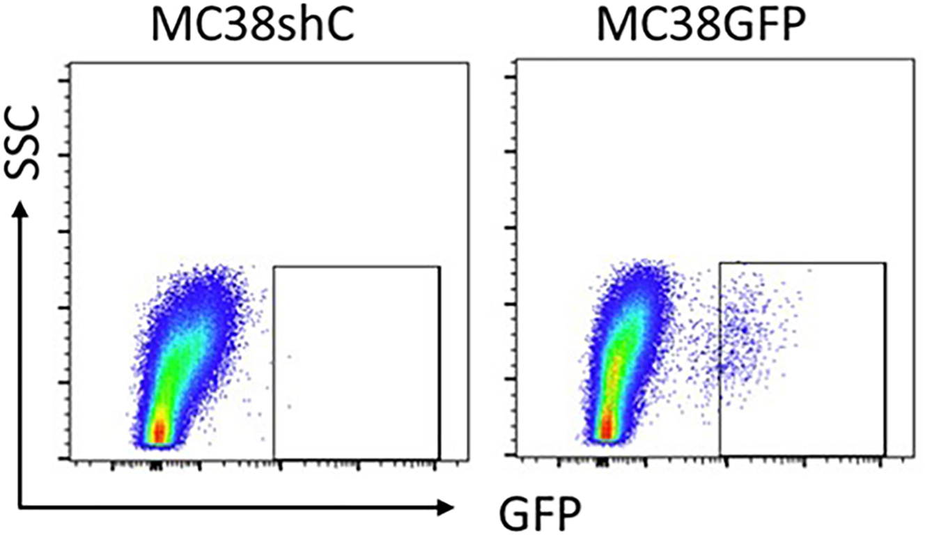 Cell Press: STAR Protocols
