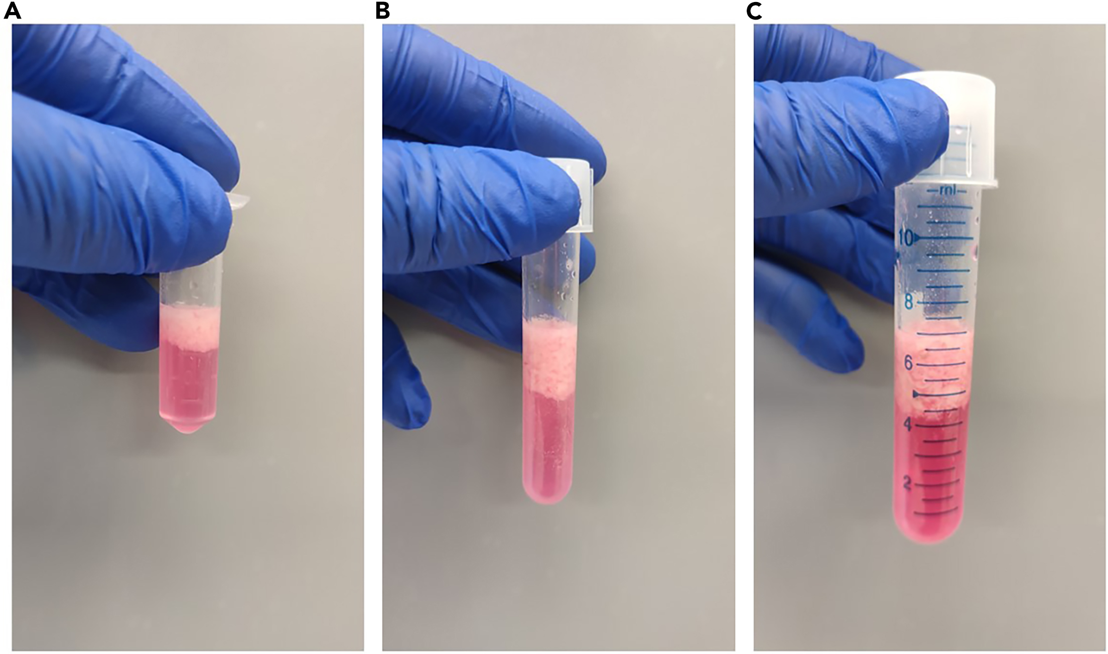 Cell Press: STAR Protocols