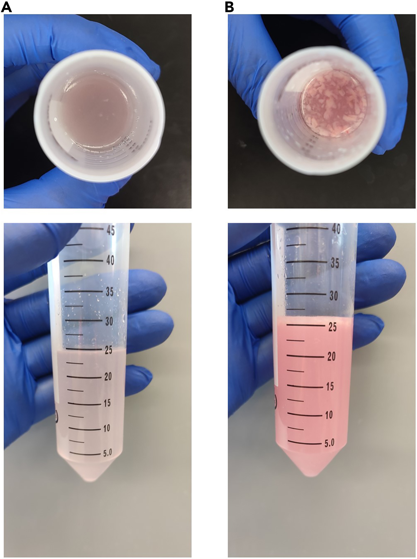 Cell Press: STAR Protocols