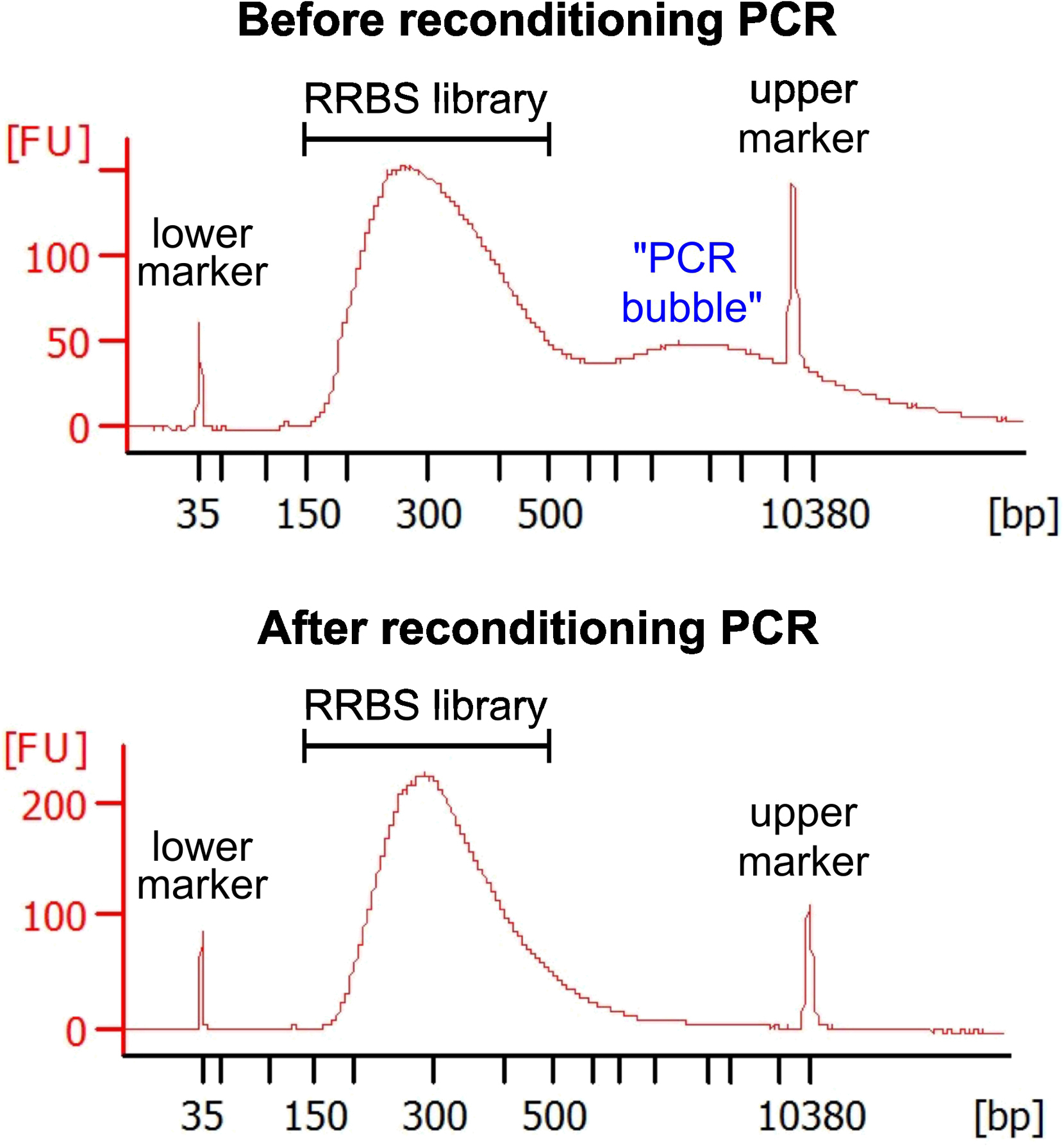 Cell Press: STAR Protocols