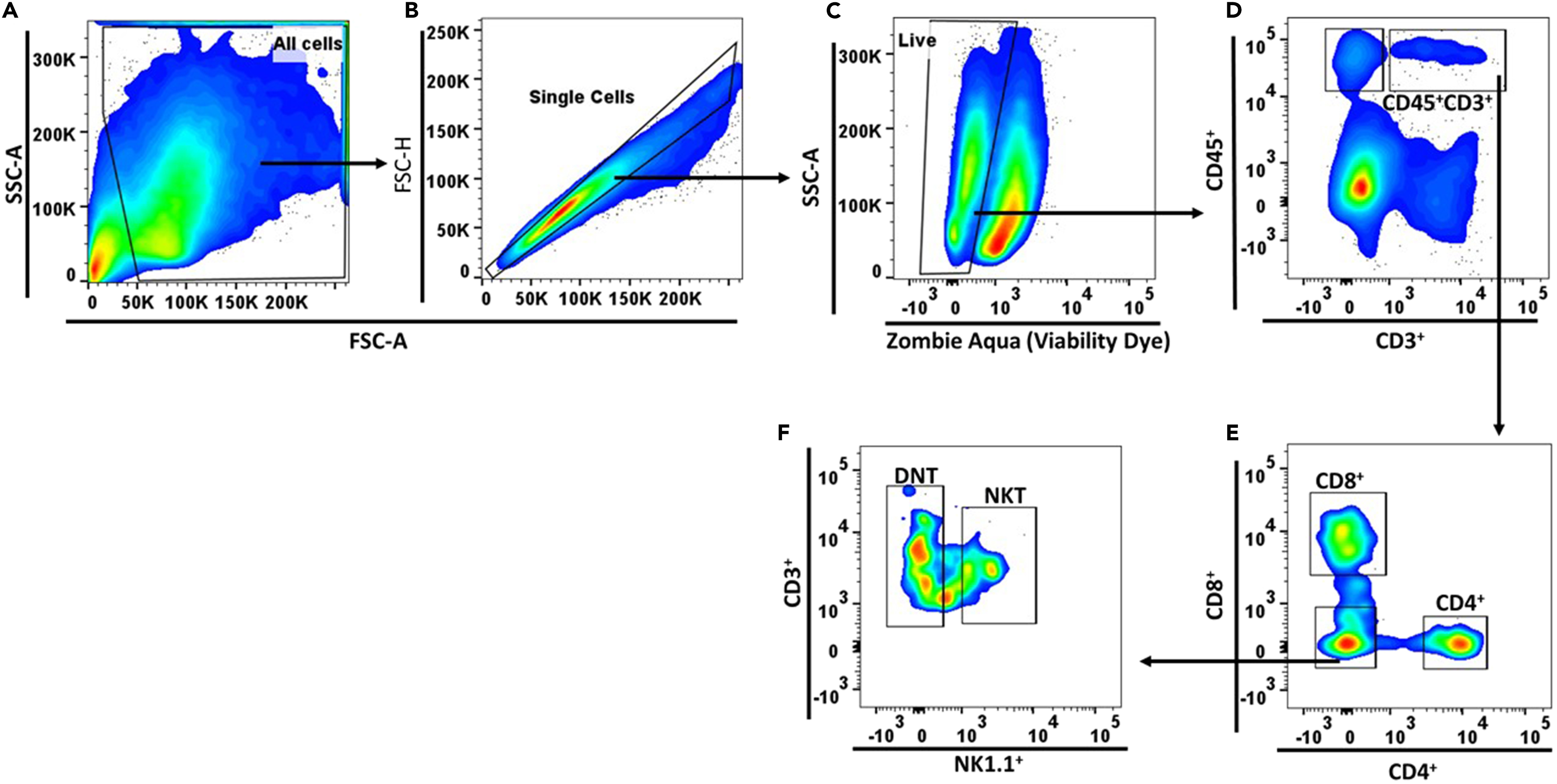 Cell Press: STAR Protocols