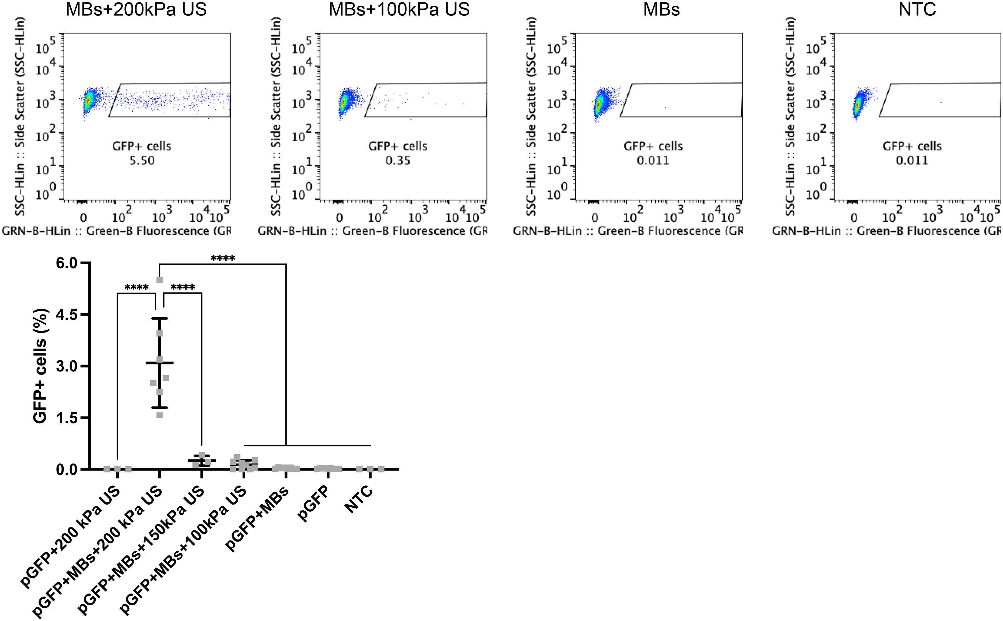Cell Press: STAR Protocols