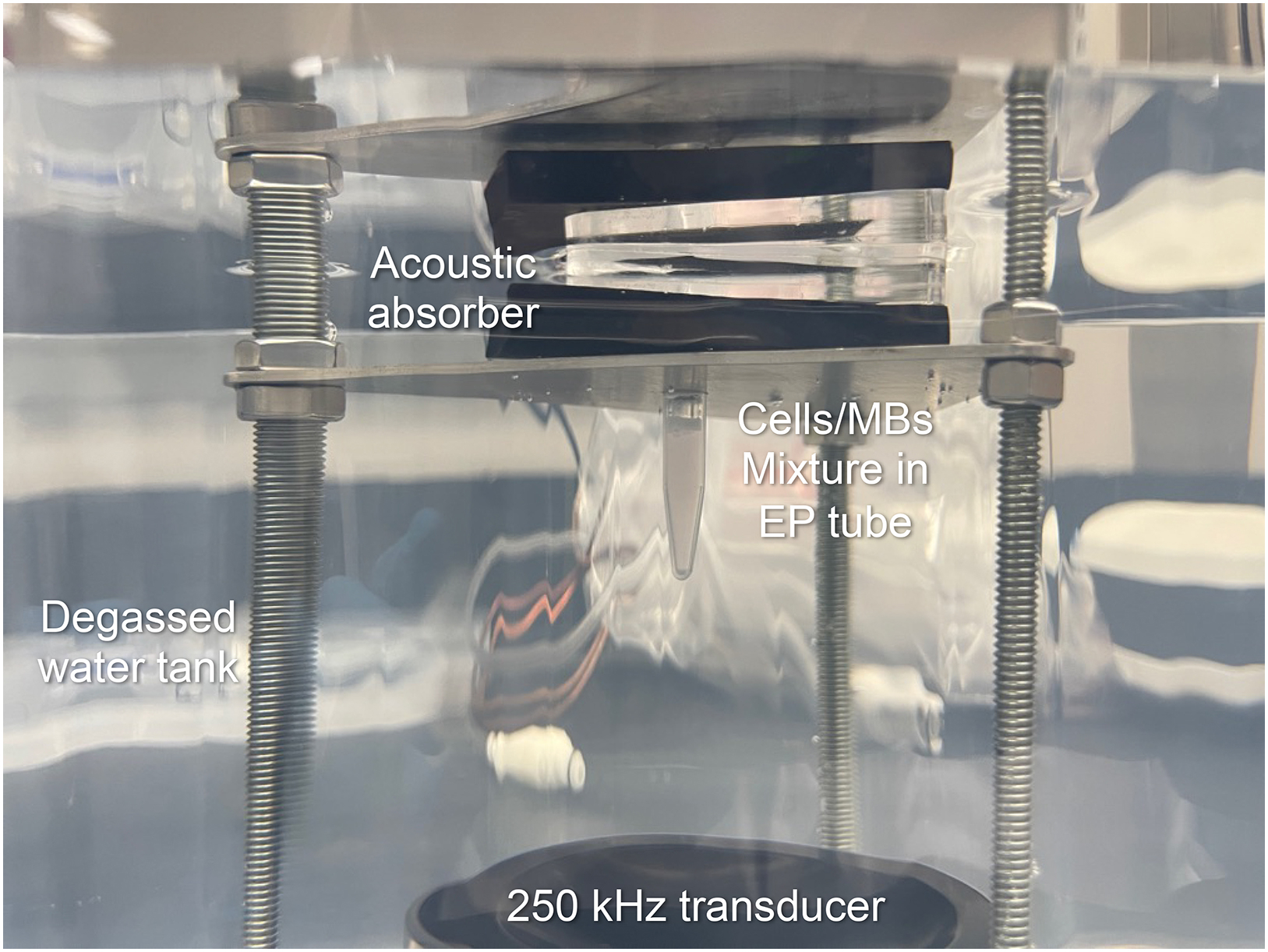 Cell Press: STAR Protocols