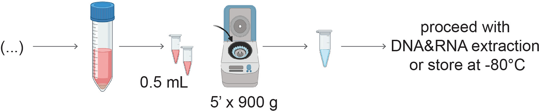 Cell Press: STAR Protocols