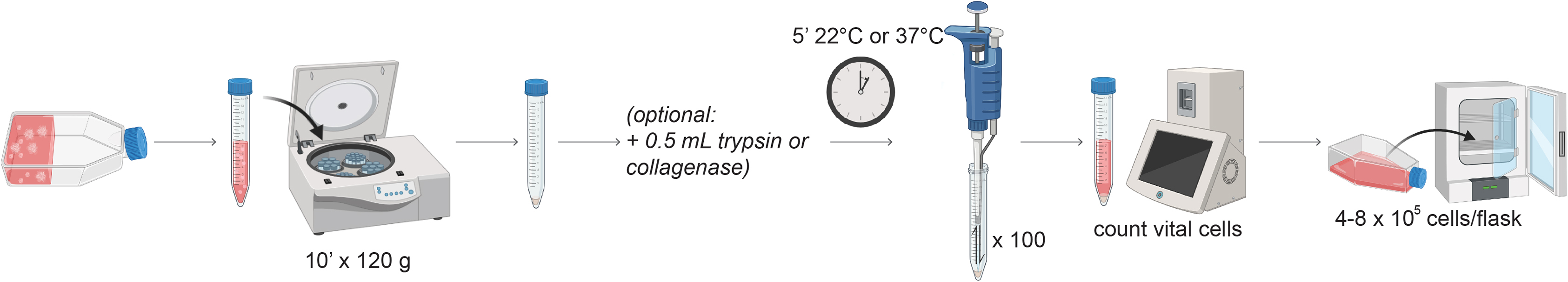 Cell Press: STAR Protocols