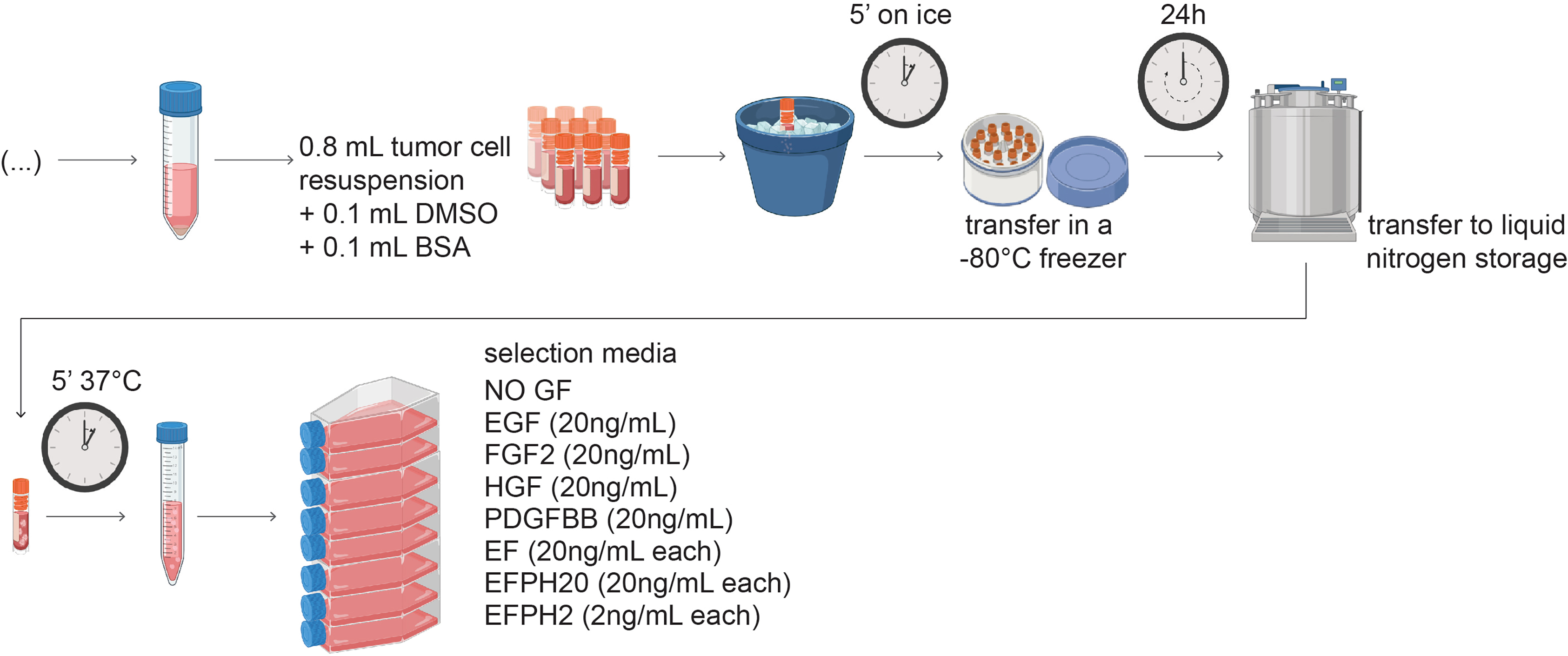 Cell Press: STAR Protocols