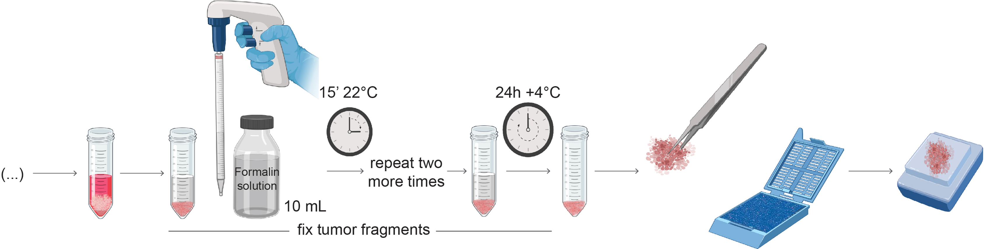 Cell Press: STAR Protocols